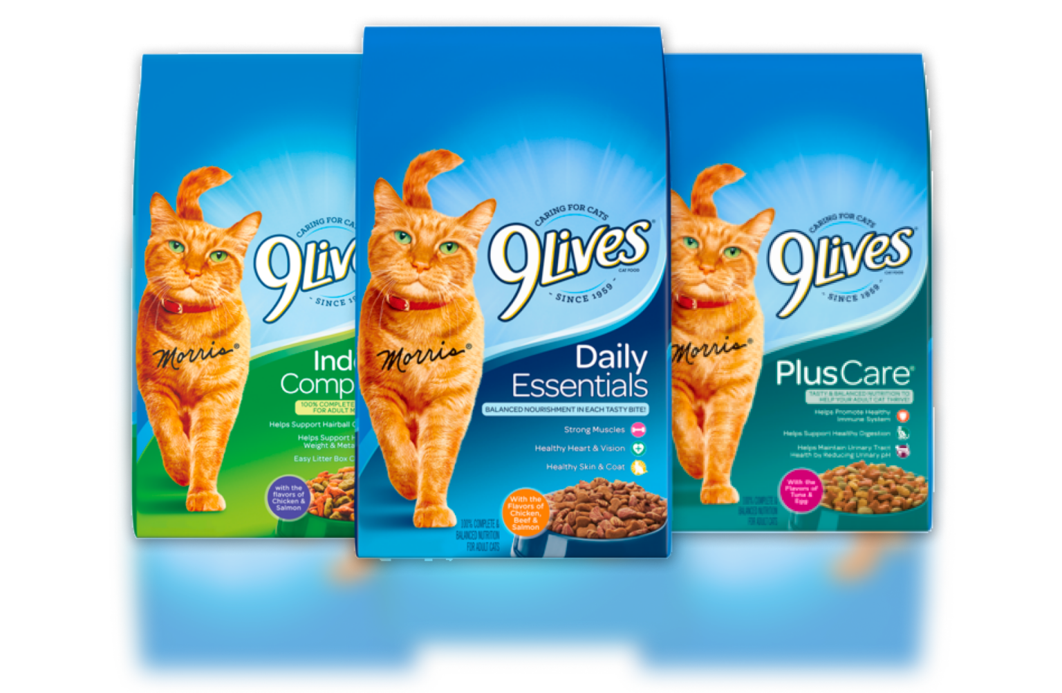 9Lives Dry Cat Food Varieties