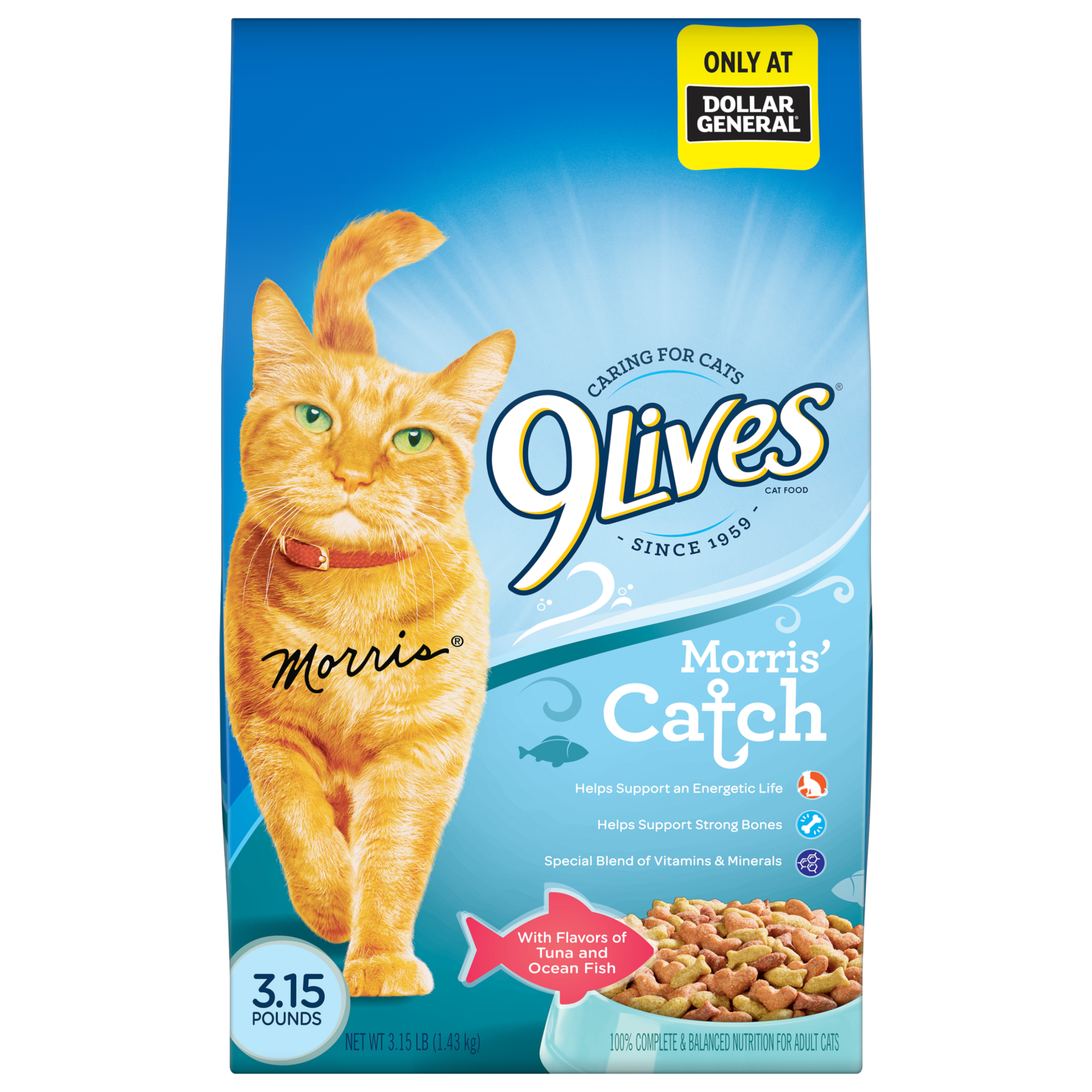 9Lives Morris' Catch Dry Cat Food