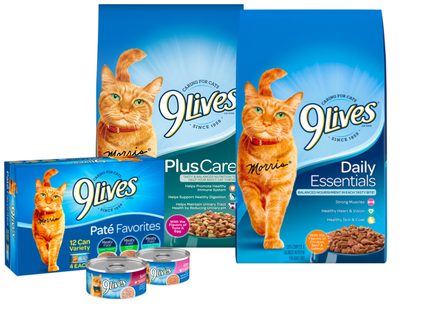 9Lives Products: High-Quality Cat Food & Treats